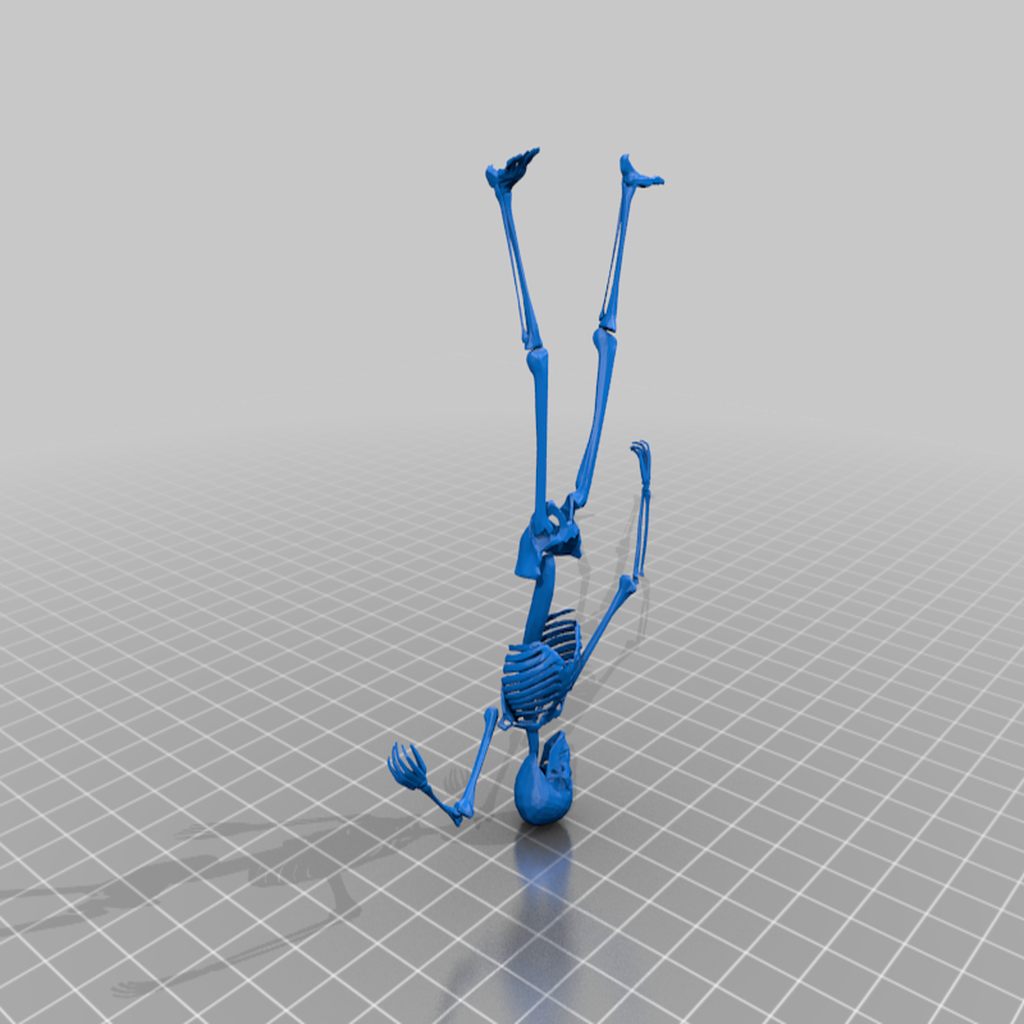 Free STL file Dead Skeletons Posed x4・3D printing model to download・Cults