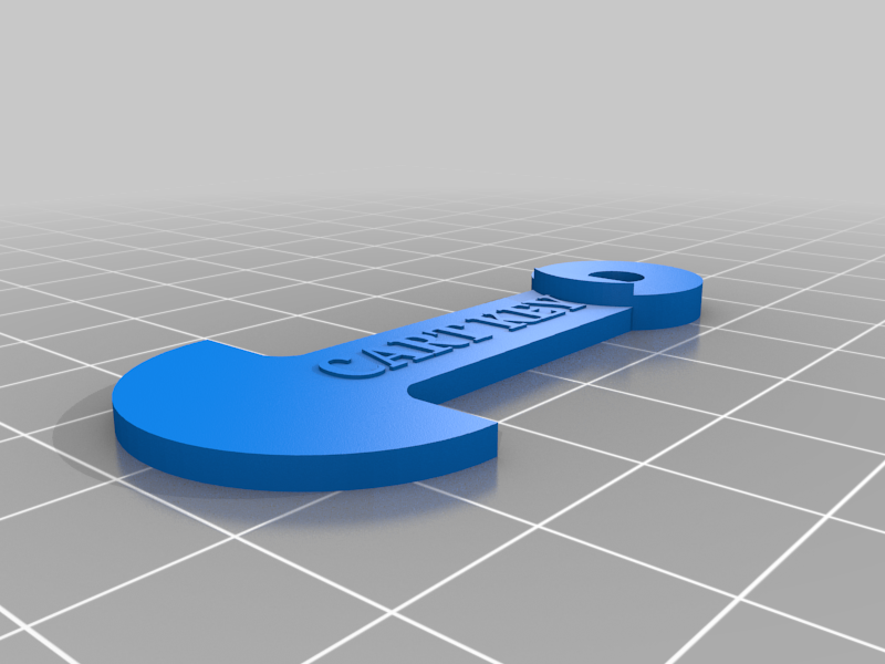 STL file Loonie Grocery Cart Key Chain・3D print object to download・Cults