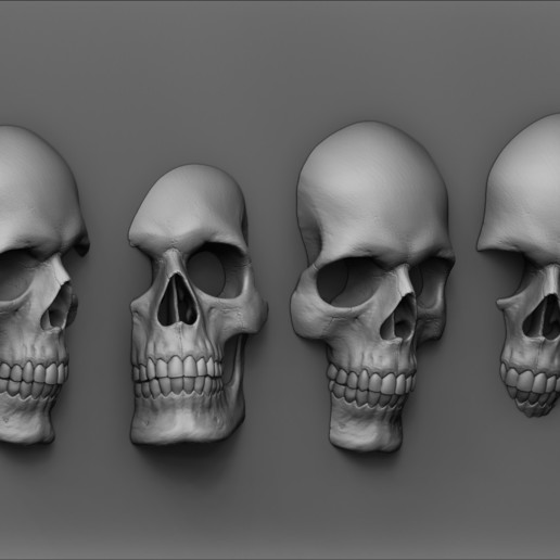 Download OBJ file Skull • 3D printable model ・ Cults