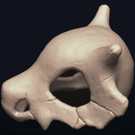 Download 3D printer model Pokemon Cubone Skull ・ Cults