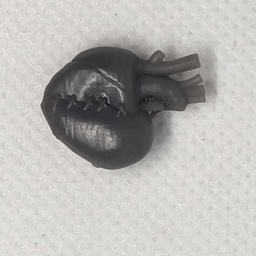 Download 3D printer templates Tied Anatomical Heart ・ Cults