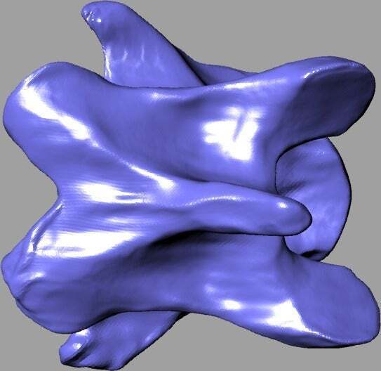 Archivo STL gratis Vértebra del cuello・Modelo para descargar y imprimir ...