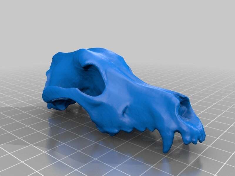 Free STL file Dog Skull 🐕・3D printer design to download・Cults