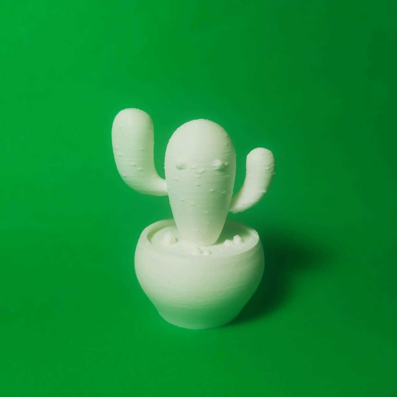 3D printing animated cactus • made with artillery sidewinder x1・Cults