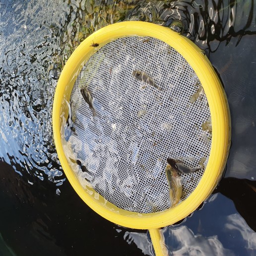 Download STL file fish viewing net (koi)(gold fish) need build plate of ...