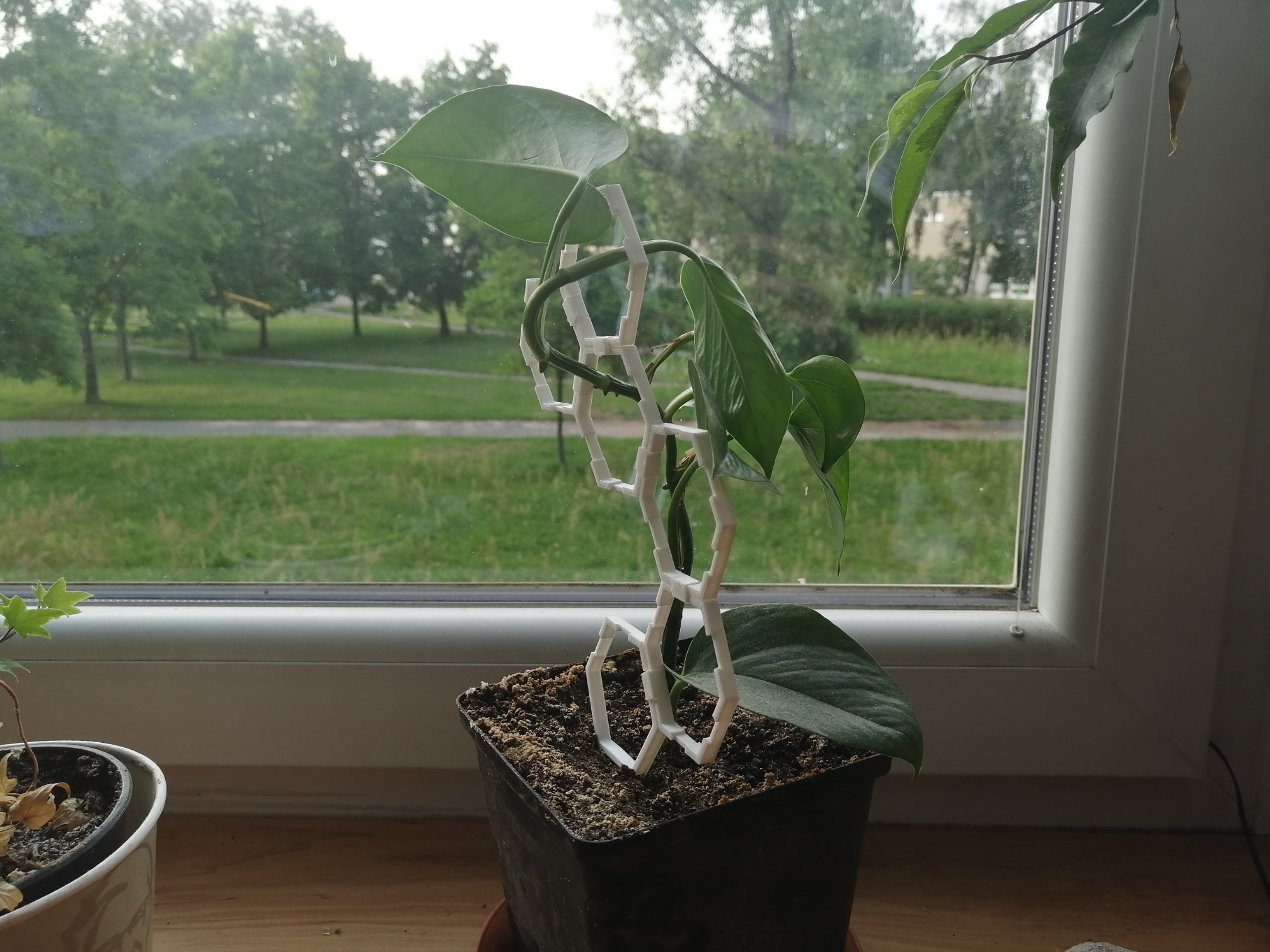 Free 3D file Plant support・3D print model to download・Cults