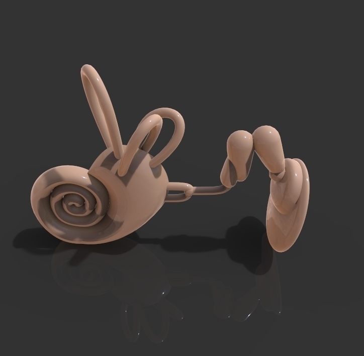 Free STL file The Educative Eardrum 💊・Model to download and 3D print・Cults