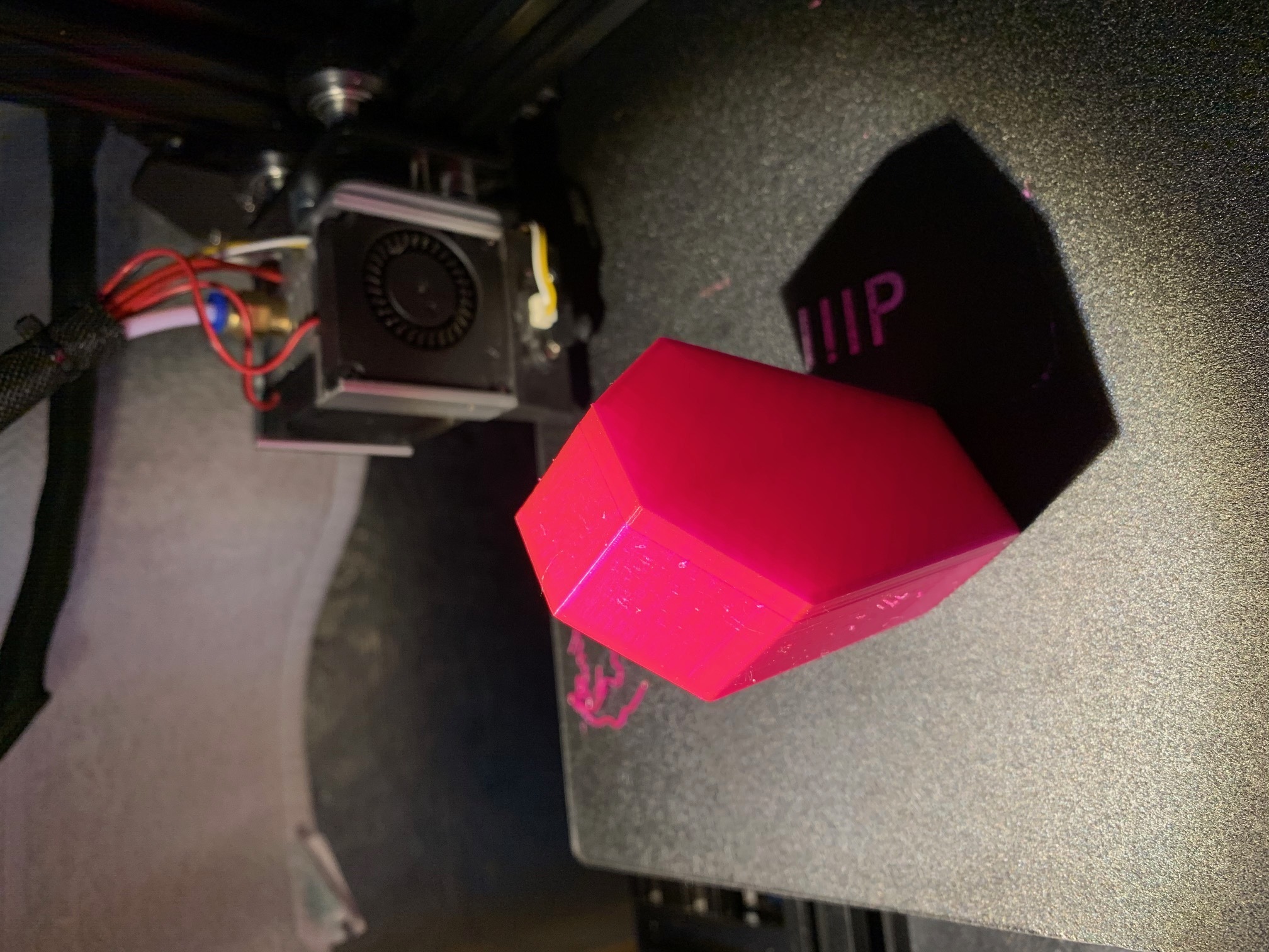 Free STL file Fish Coffin Box・Object to download and to 3D print・Cults