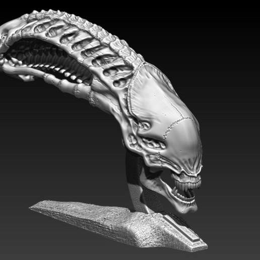 Download STL files ALIEN VS PREDATOR SKULL PACK ・ Cults