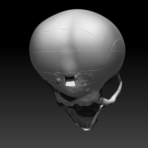 Download STL file GREY ALIEN SKULL V2 WITH BASE • 3D printing model ・ Cults