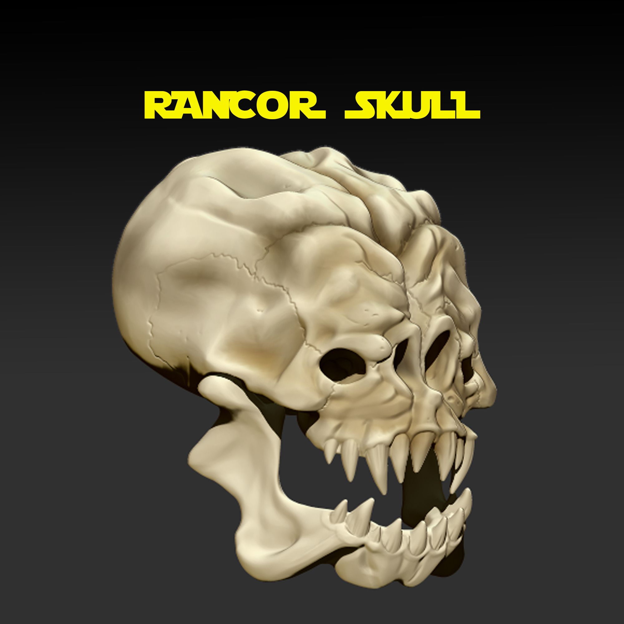 3D file COMPLETE COLLECTION OF SKULLS (update 91 different models) 💀・3D ...