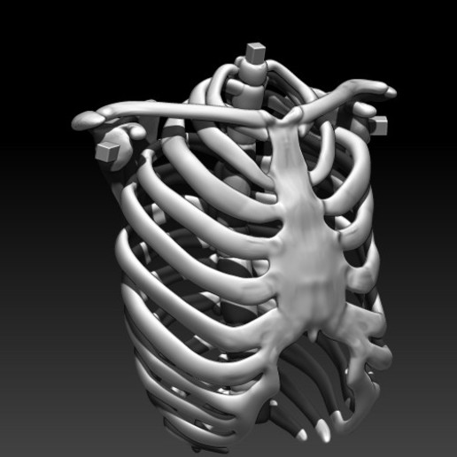 Descargar modelo 3D ALIEN GRAY SKELETON COMPLETE ・ Cults