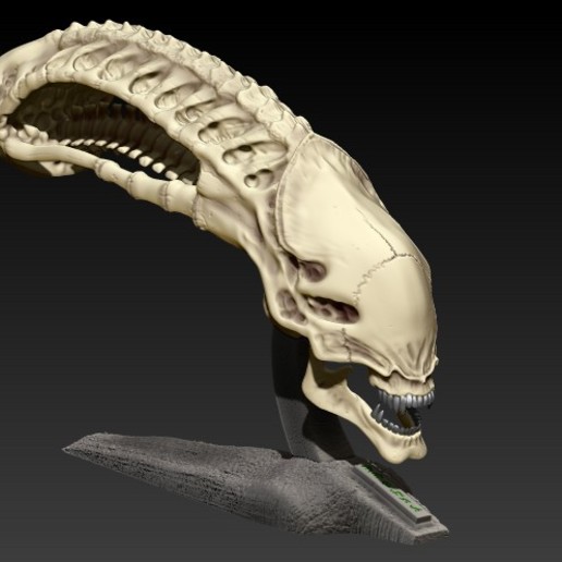 Download STL files ALIEN VS PREDATOR SKULL PACK ・ Cults