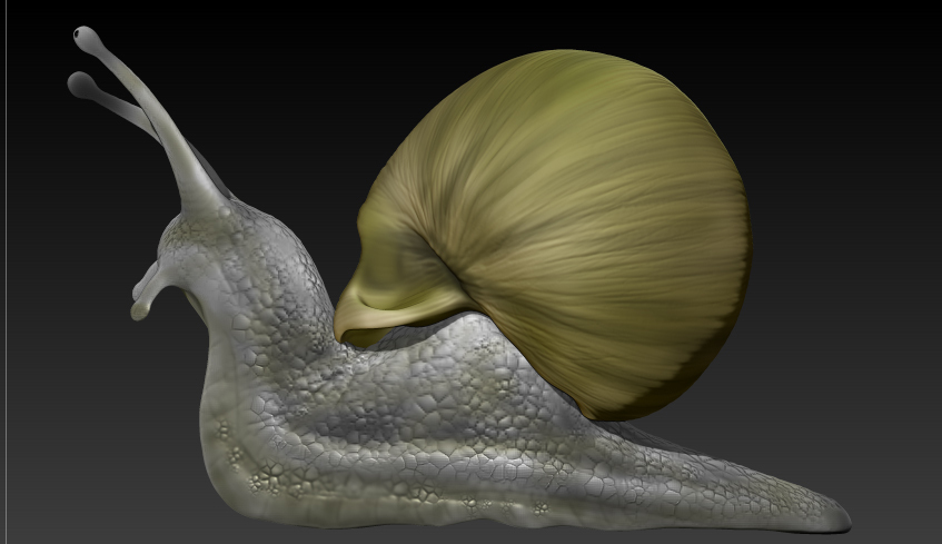 STL file SNAILSKULL・3D printable model to download・Cults