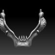 Download STL file ALIEN VS PREDATOR SKULL PACK • Design to 3D print ・ Cults