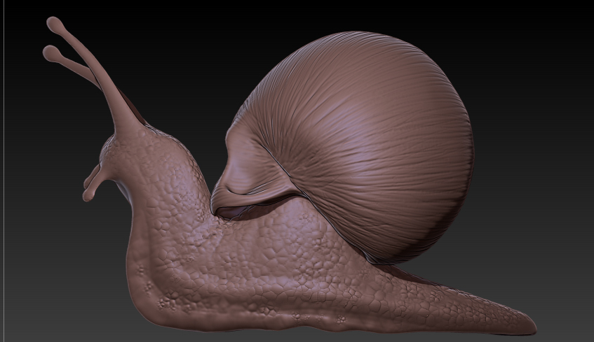 STL file SNAILSKULL・3D printable model to download・Cults