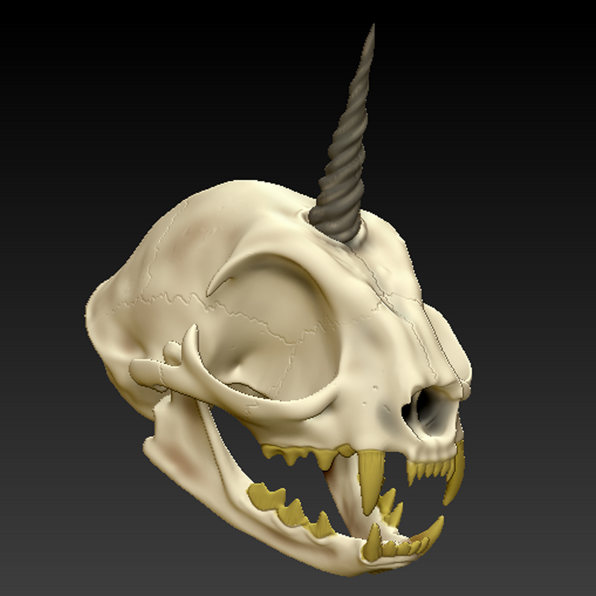 3D file COMPLETE COLLECTION OF SKULLS (update 91 different models) 💀・3D ...