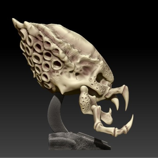 Descargar archivo STL PREDATOR SKULL WITH BASE • Modelo para imprimir ...