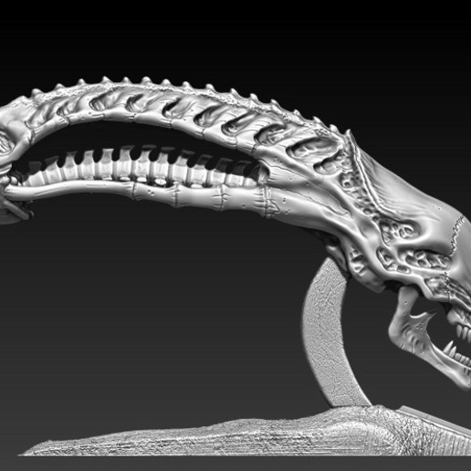 Download STL files ALIEN VS PREDATOR SKULL PACK ・ Cults