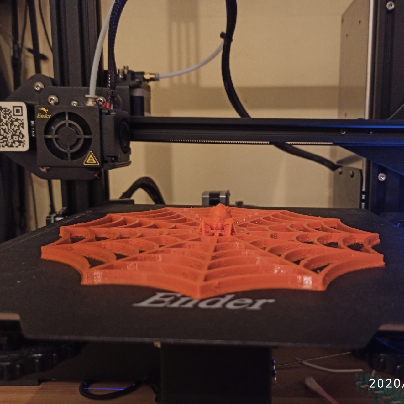 Free STL file Spider's Web・3D print object to download・Cults