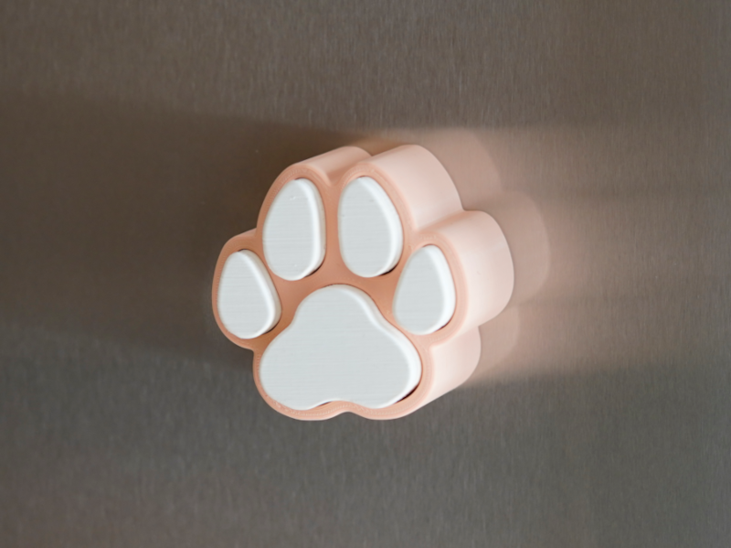 Free 3D file Magnetic Paw Box 🧲・3D printable model to download・Cults