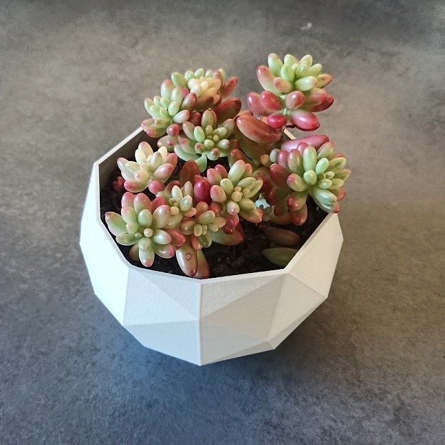 Free STL file Low Poly Planter・3D print design to download・Cults