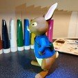Download STL file Peter Rabbit | Peter Rabbit Fan Art • Model to 3D ...