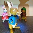 Download STL file Peter Rabbit | Peter Rabbit Fan Art • Model to 3D ...
