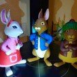 Download STL Peter Rabbit With Friends | Peter Rabbit Fan Art ・ Cults