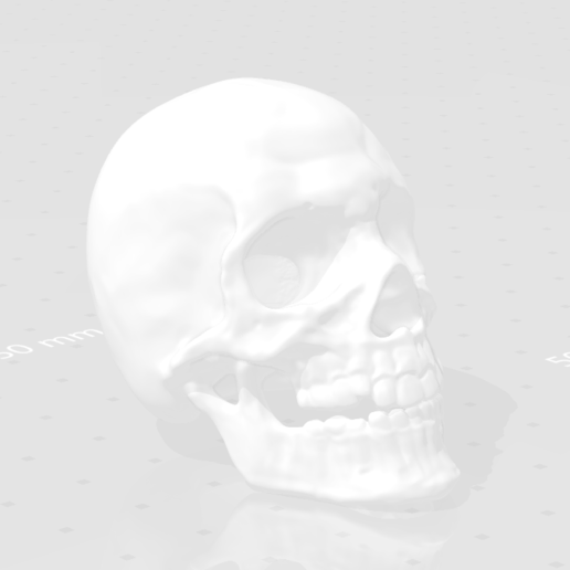 Download OBJ file Calavera • Object to 3D print ・ Cults