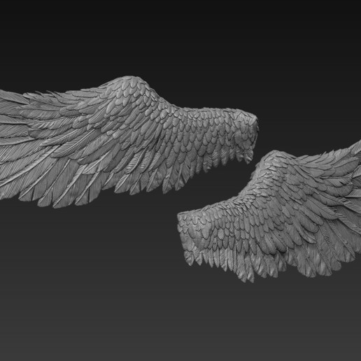 Download OBJ file angel wing • 3D printable design ・ Cults