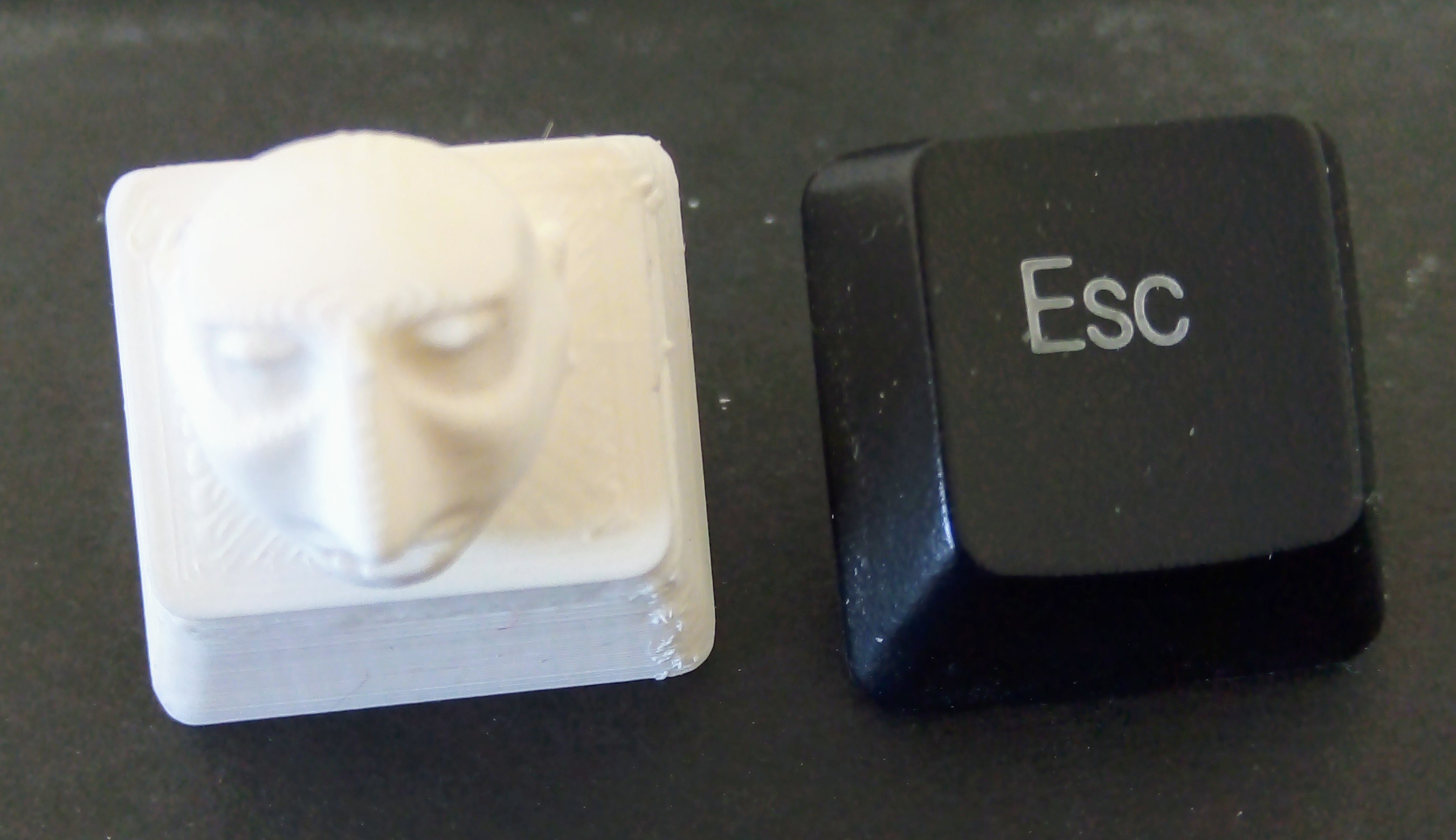 STL file ESC and ALT or WIN Keyboard Key・3D print model to download・Cults