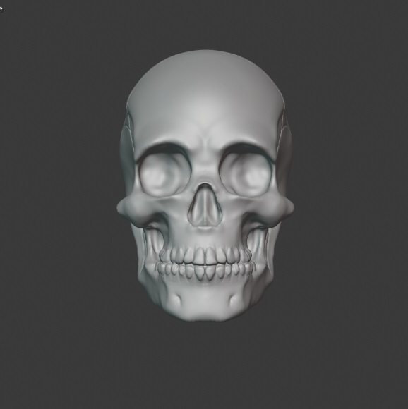 STL file Human Skull 2.0・3D print design to download・Cults