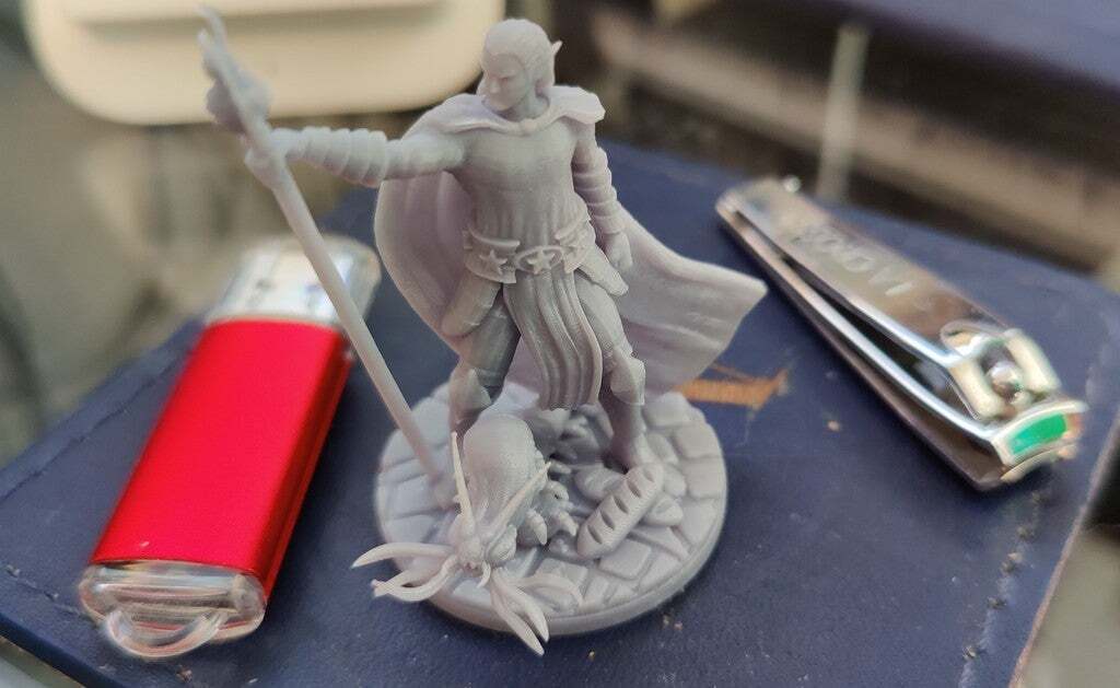 Free STL file Drow Markup Mage with Carrion Crawler (male) 🧙・3D ...