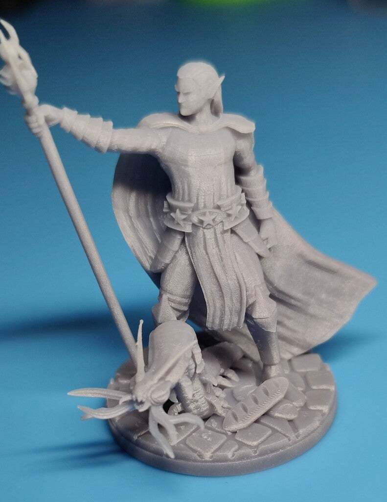 Free STL file Drow Markup Mage with Carrion Crawler (male) 🧙・3D ...