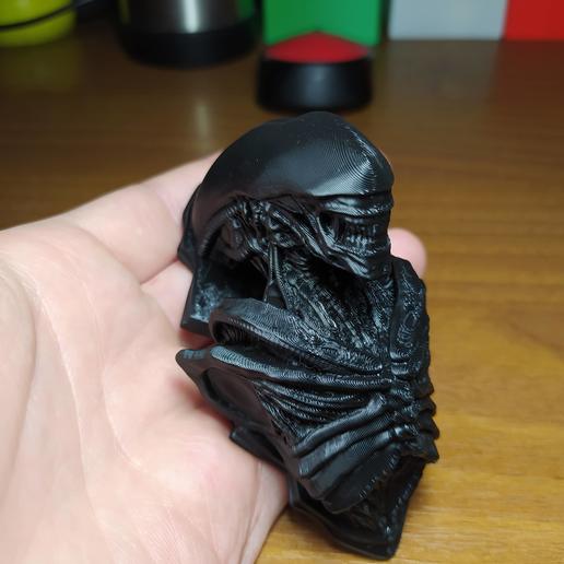 3D printed Xenomorph Bust Wall Mount ・ Cults