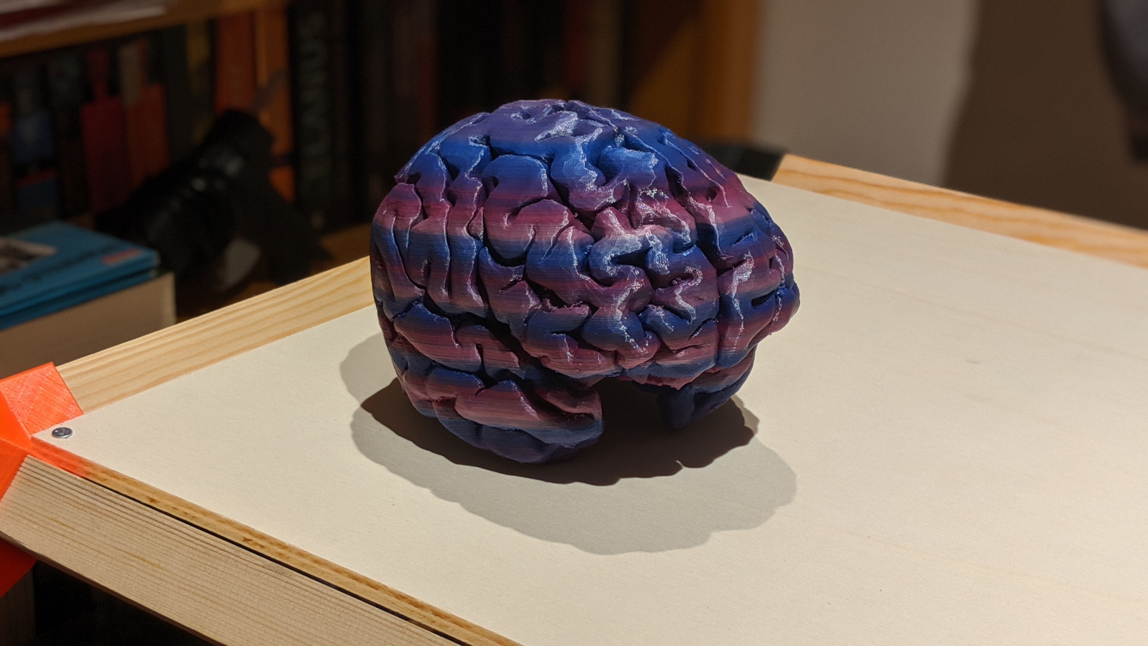 Бесплатный OBJ файл How to 3D print Your Brain・Дизайн 3D принтера для загрузки・Cults