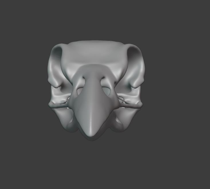 Free STL file Raven skull 🐦・Model to download and 3D print・Cults
