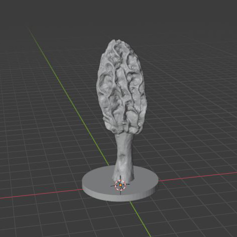 STL file morel #3・Design to download and 3D print・Cults