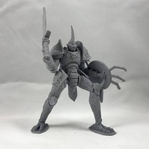 Download STL file KNIGHT OF THE BEETLE MINIATURE (DND, WARHAMMER ...