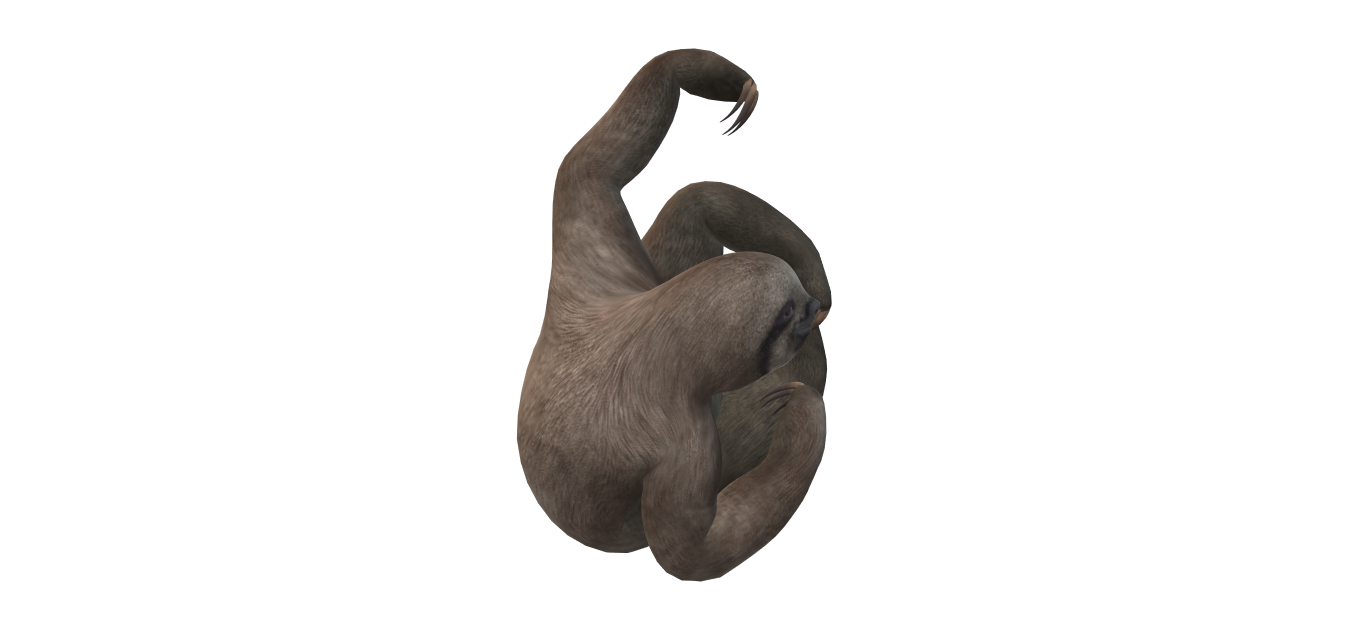 Free STL file Real Sloth・3D print design to download・Cults