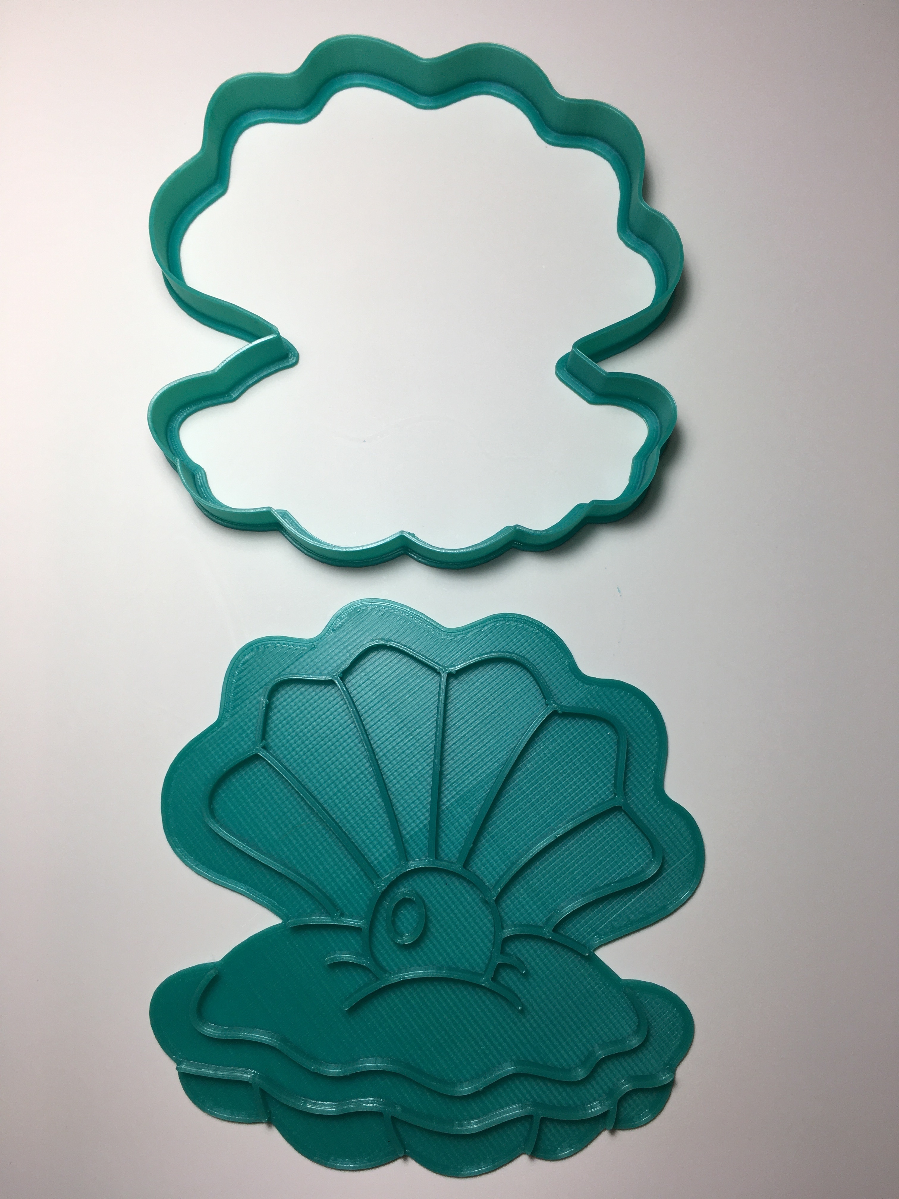 3D file Seashell・3D printer design to download・Cults
