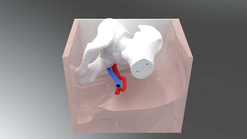 OBJ file Anatomical Femoral Artery Cannulation Simulator for Ultrasound ...