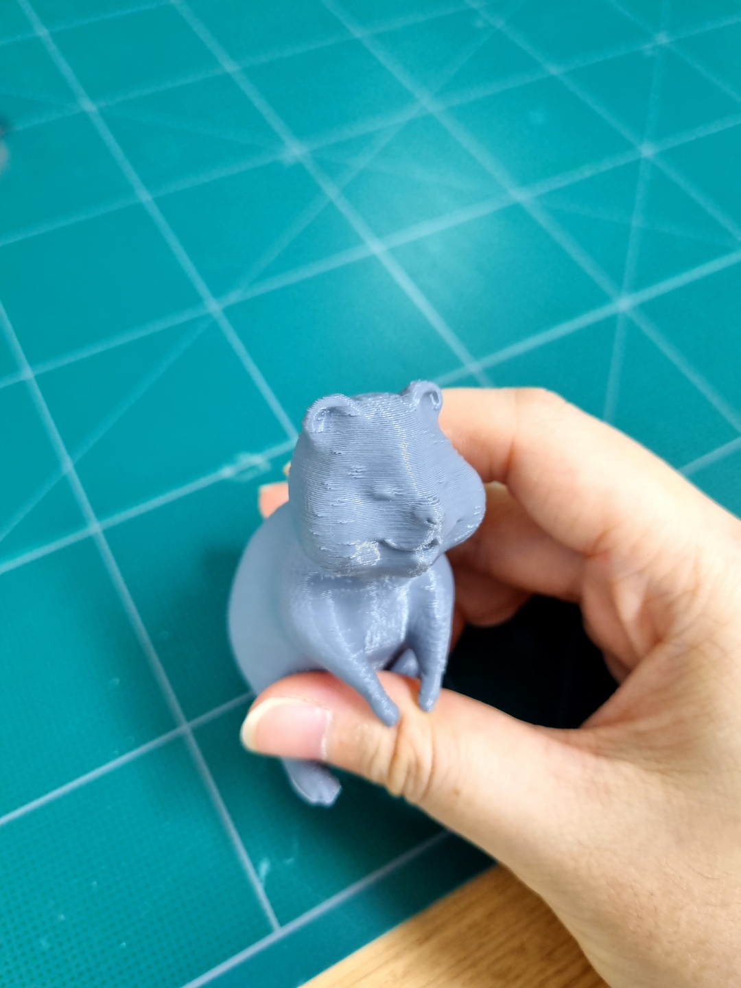 Archivo STL Sonrisa Quocca 🇦🇺・Modelo de impresora 3D para descargar・Cults