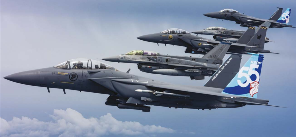 Fichier 3D gratuit Livrée F-15SG RSAF55・Plan pour impression 3D à ...