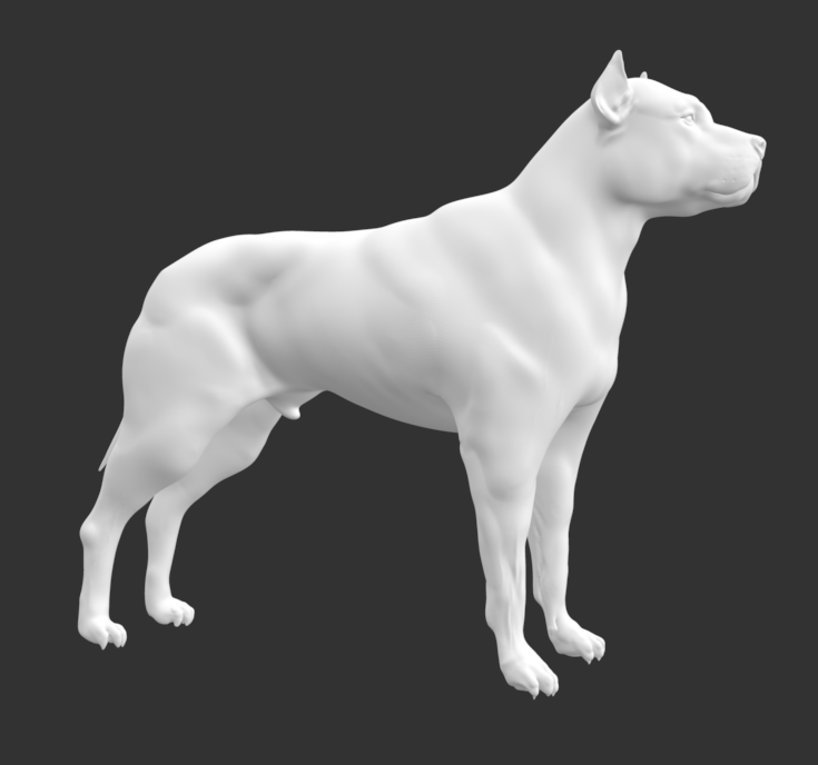 STL file Pitbull 🐕・Model to download and 3D print・Cults
