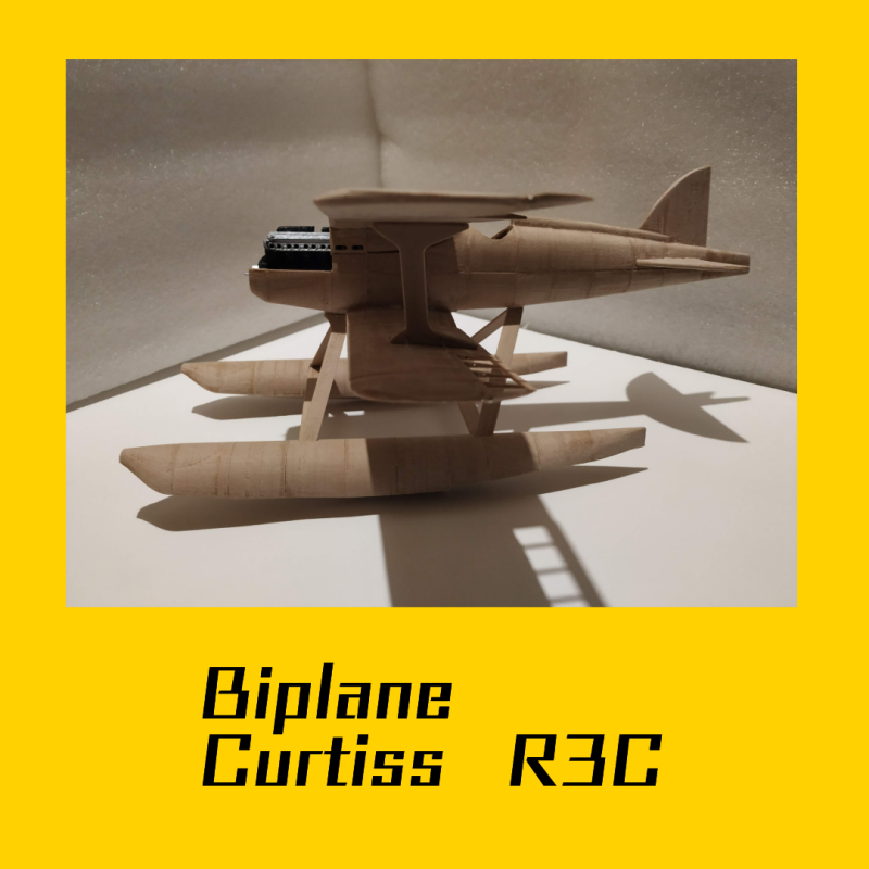 3D file CURTISS R3C ️・3D printing idea to download・Cults