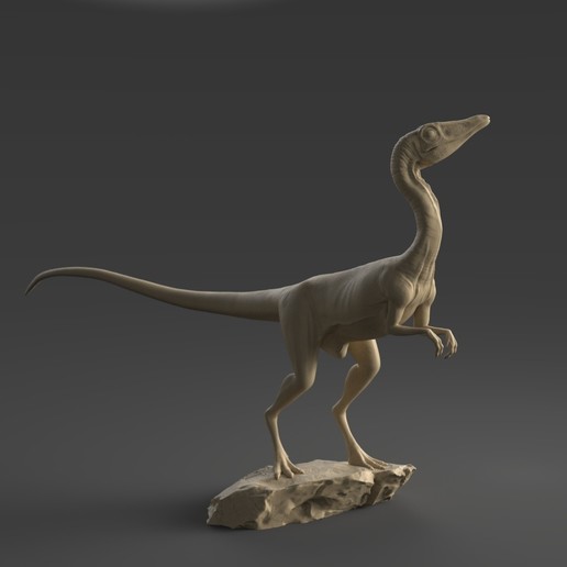 Download STL file Compsognathus full body - Jurassic Park • 3D printer ...