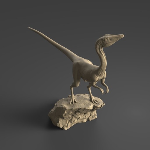 Download STL file Compsognathus full body - Jurassic Park • 3D printer ...