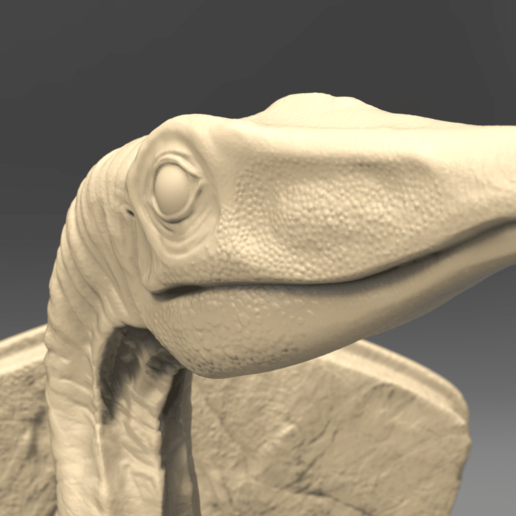 Download STL file Compsognathus - Jurassic Park • 3D printing model ・ Cults